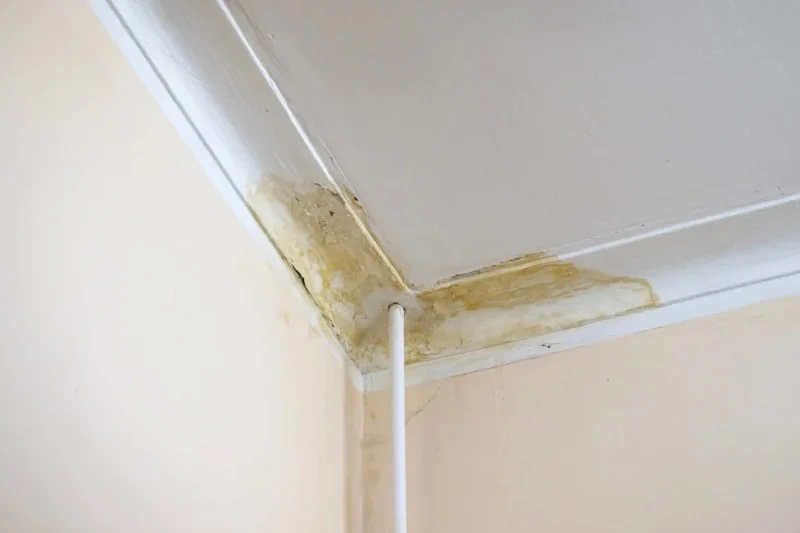 Ceiling Stains: How to Determine if It’s a Roof Leak or a Plumbing Issue